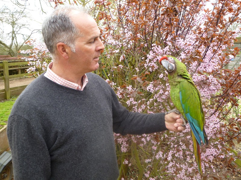 Barrett Watson Parrots | Parrot & Exotic Bird Breeders UK